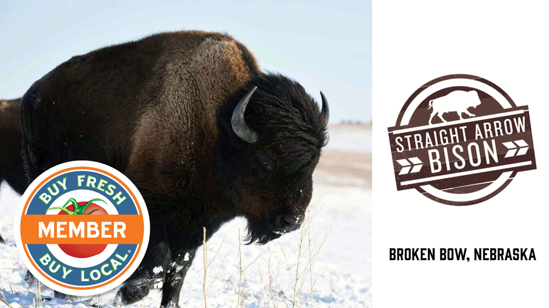 Member Spotlight: Straight Arrow Bison LLC | Buy Fresh Buy Local ...