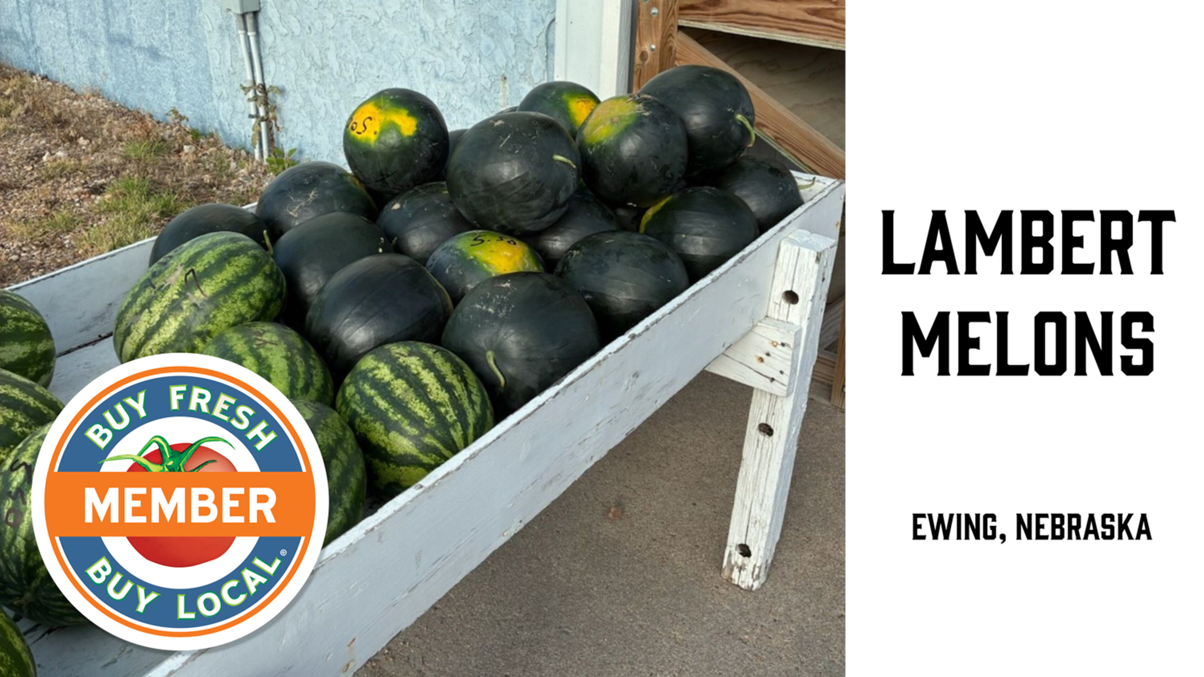 Member Spotlight: Lambert Melons | Buy Fresh Buy Local® Nebraska | Nebraska